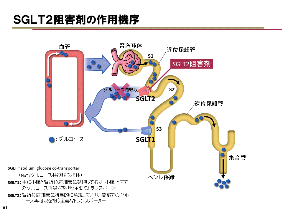 福岡県うきは市【平井内科医院】内科一般 糖尿病専門医 メタボリック症候群 甲状腺疾患 心療内科